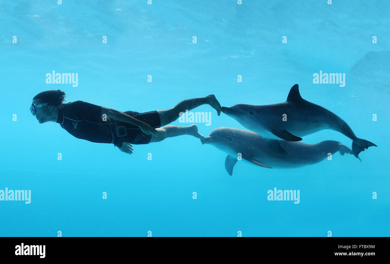 CUBA - September 2011: Havana: Acuario Nacional - The Aquarium,Dolphin ...