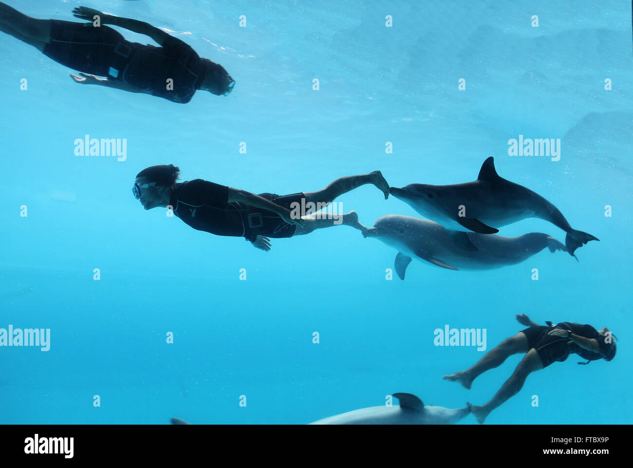 Cuba dolphin hi-res stock photography and images - Alamy