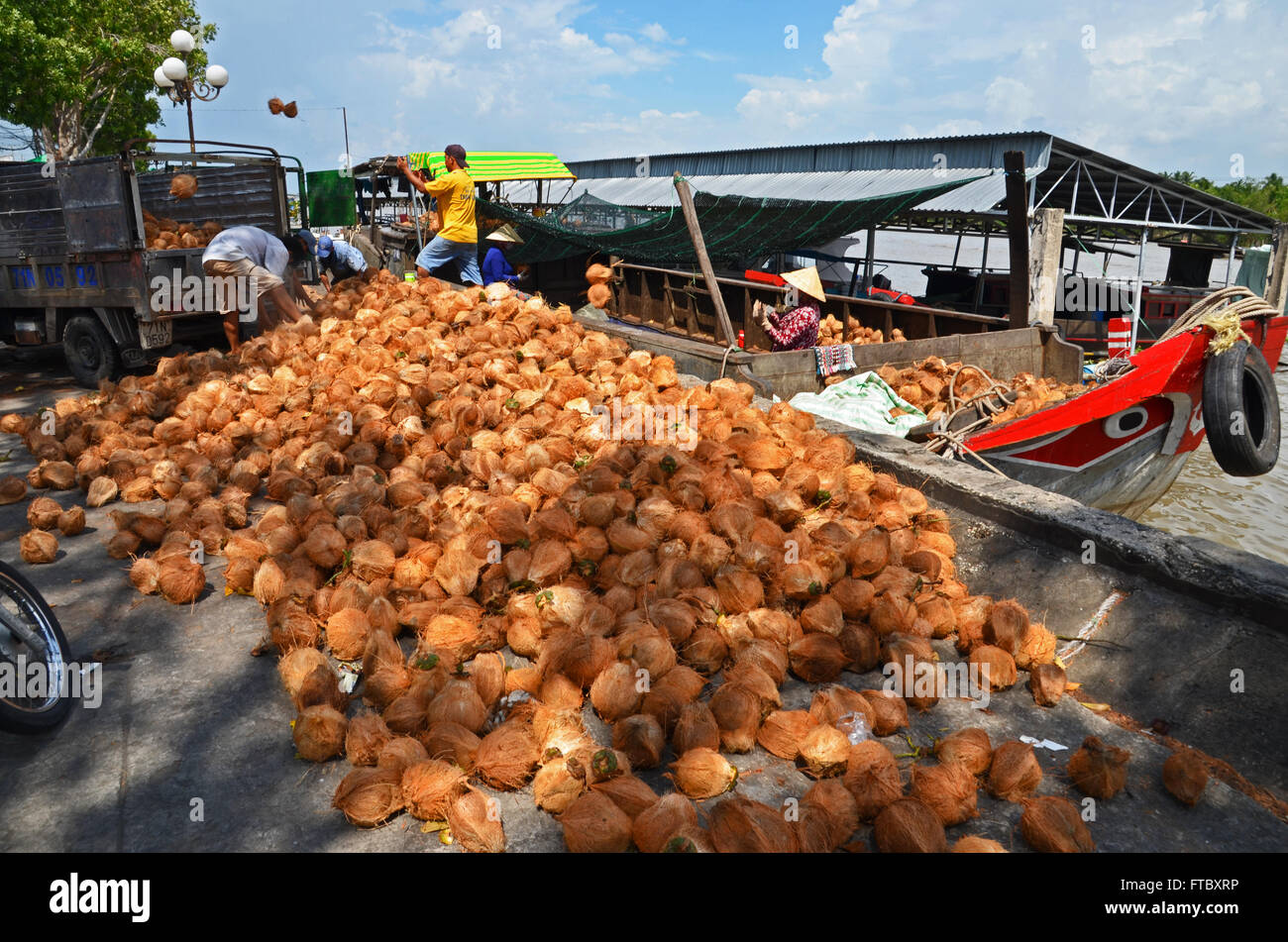 Unloading a cargo of coconuts at Ben Tre in the Mekong Delta, Vietnam ...