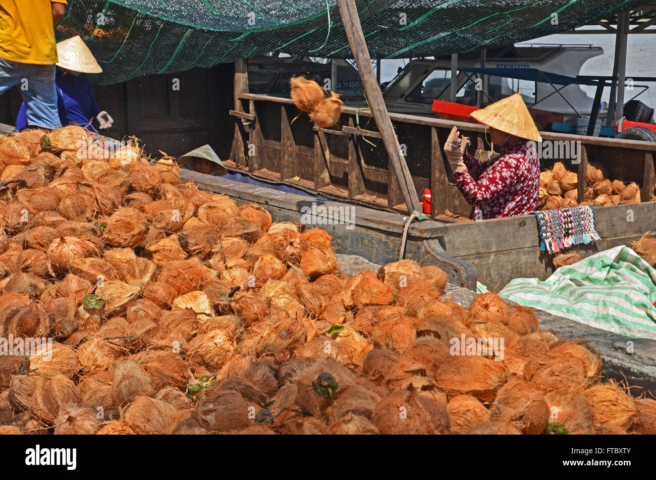 Coconuts mekong delta hi-res stock photography and images - Alamy