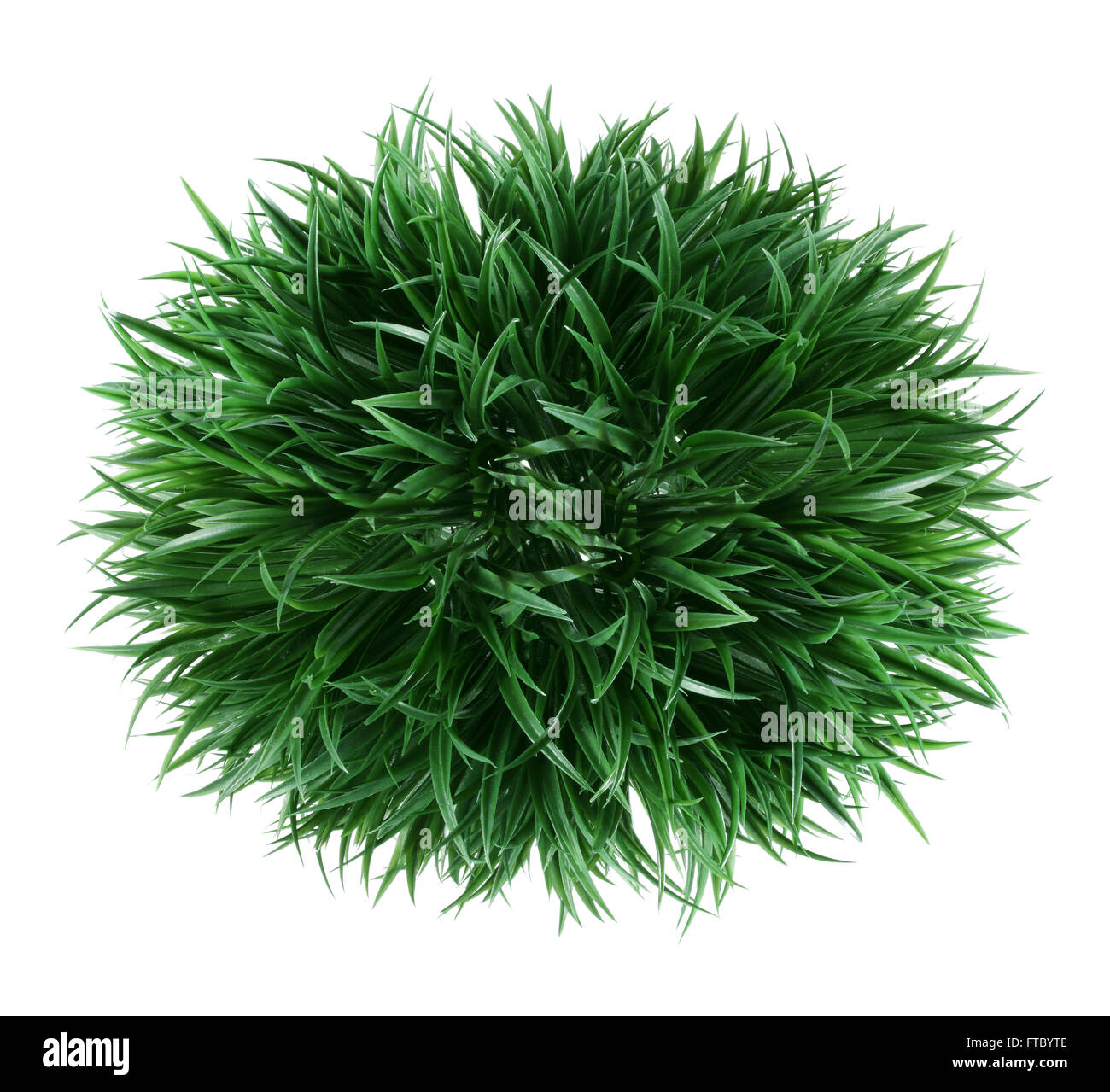Artificial grass hi-res stock photography and images - Alamy