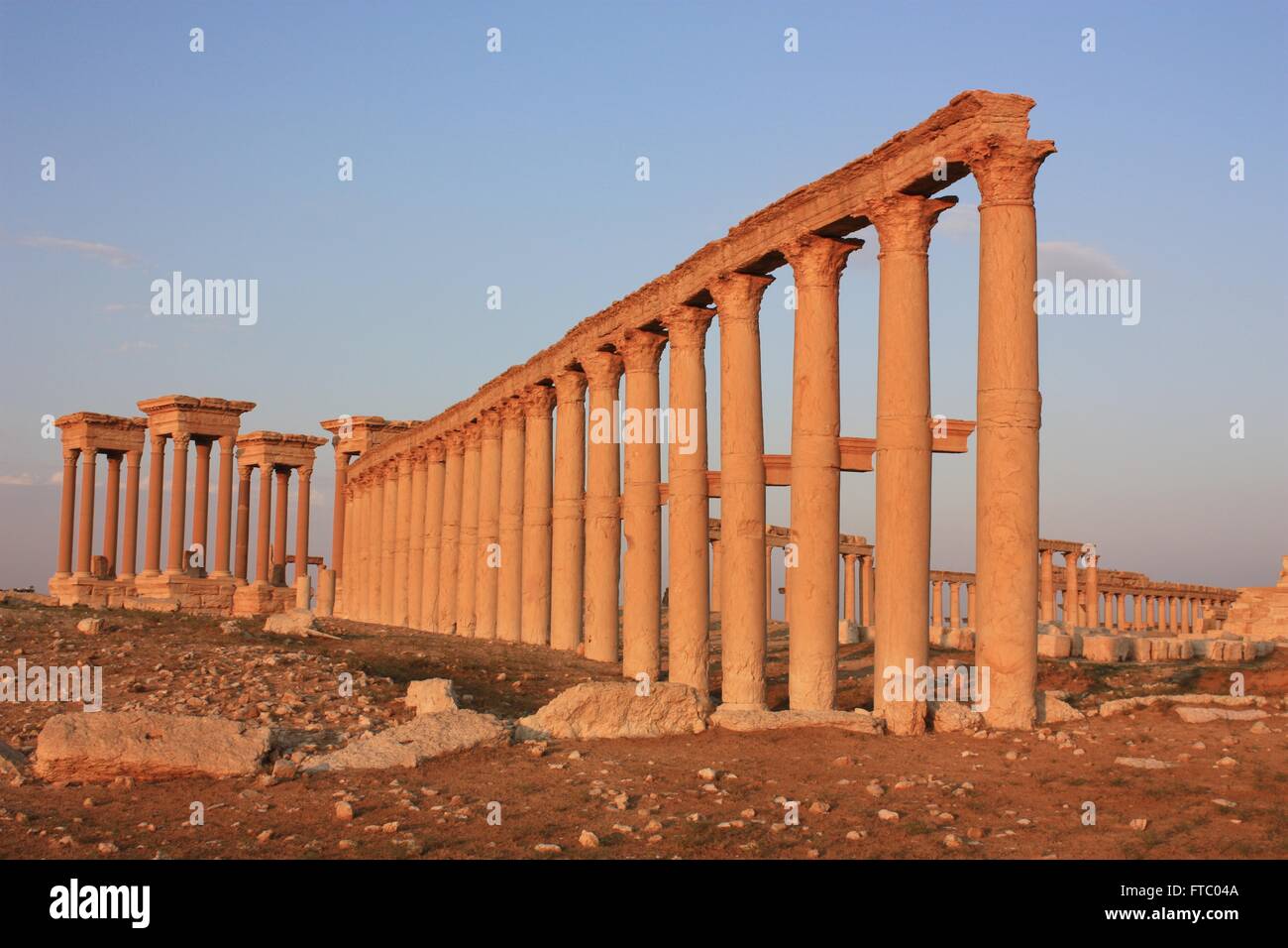 Ruins of the Great Colonnade in the ancient Semitic city of Palmyra May ...
