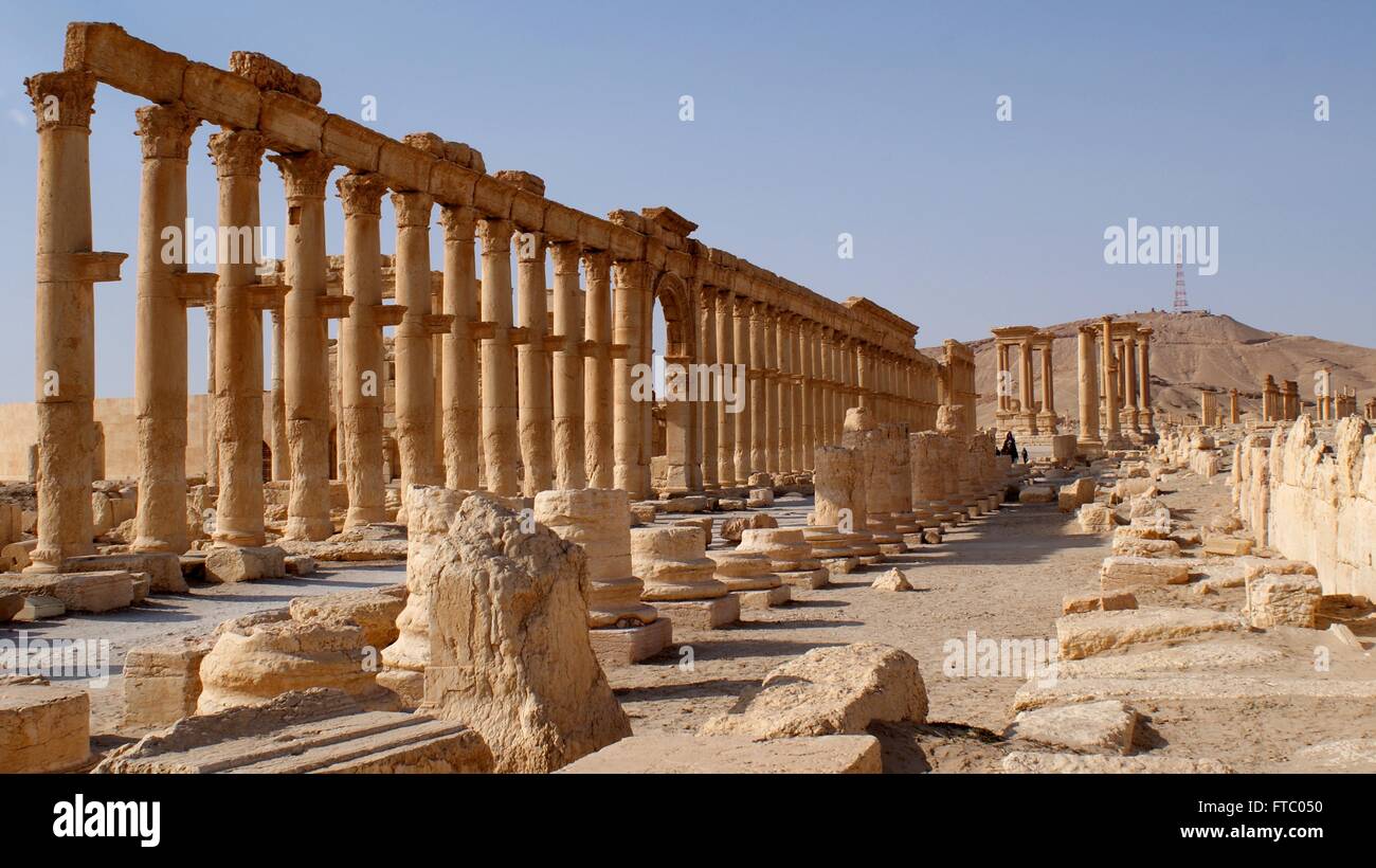 Ruins of the ancient Semitic city of Palmyra January 14, 2011 in ...