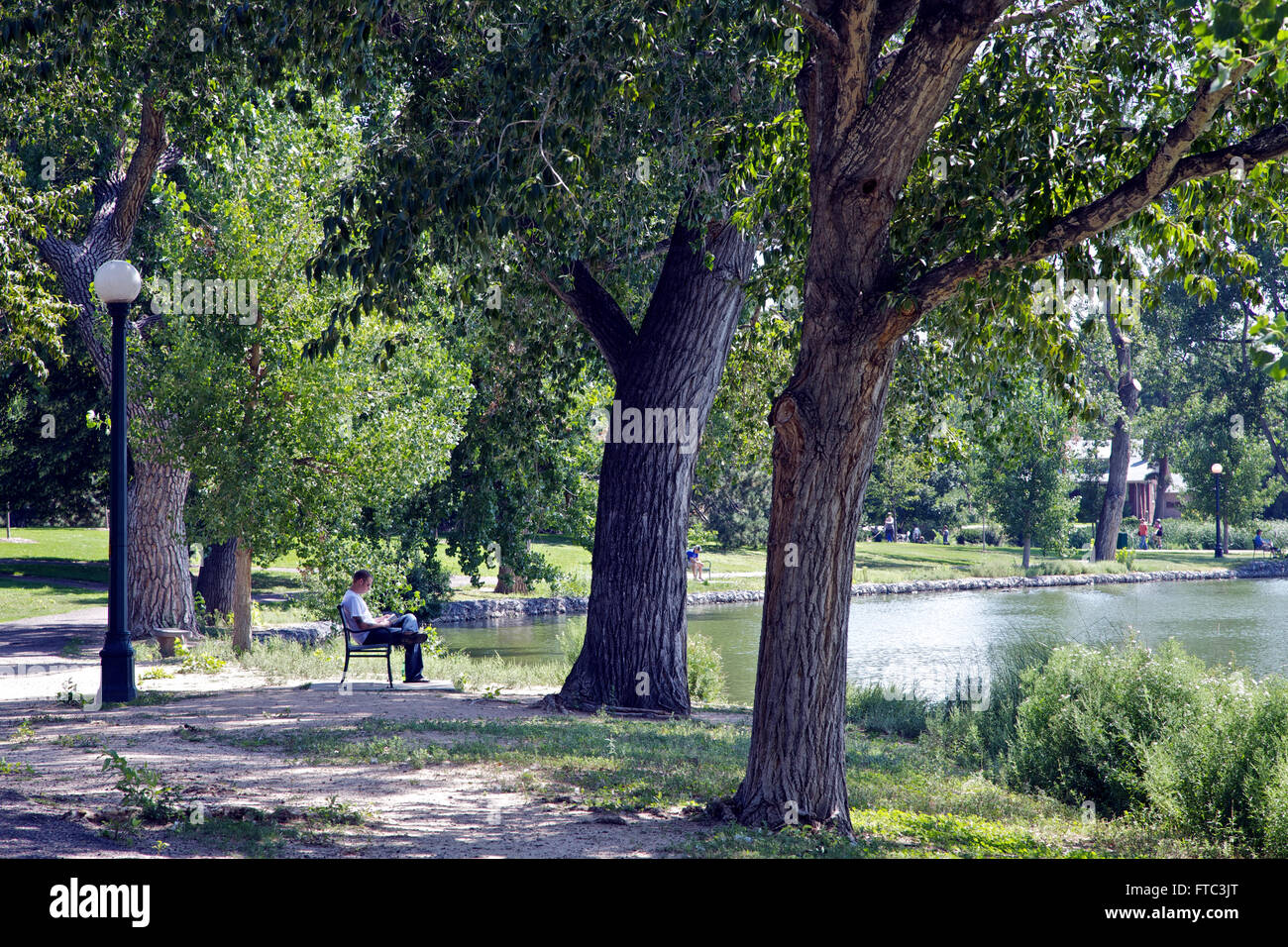 Reading grove hi-res stock photography and images - Alamy