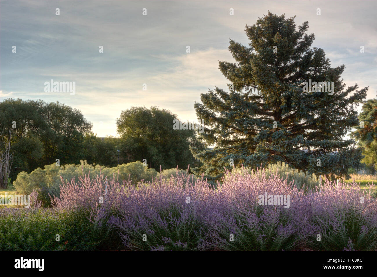 Morning light on clouds hi-res stock photography and images - Alamy