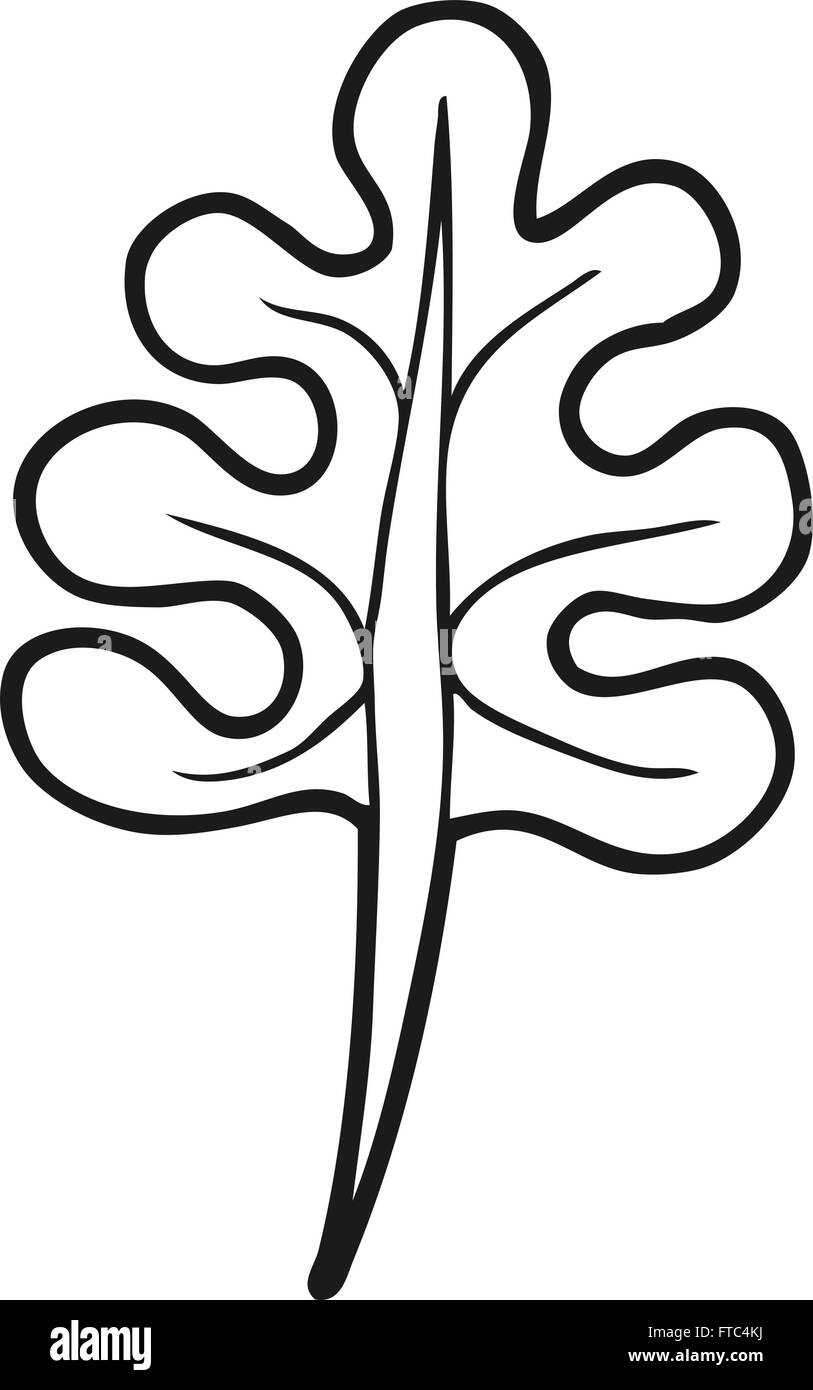 freehand drawn black and white cartoon leaf Stock Vector Image & Art ...