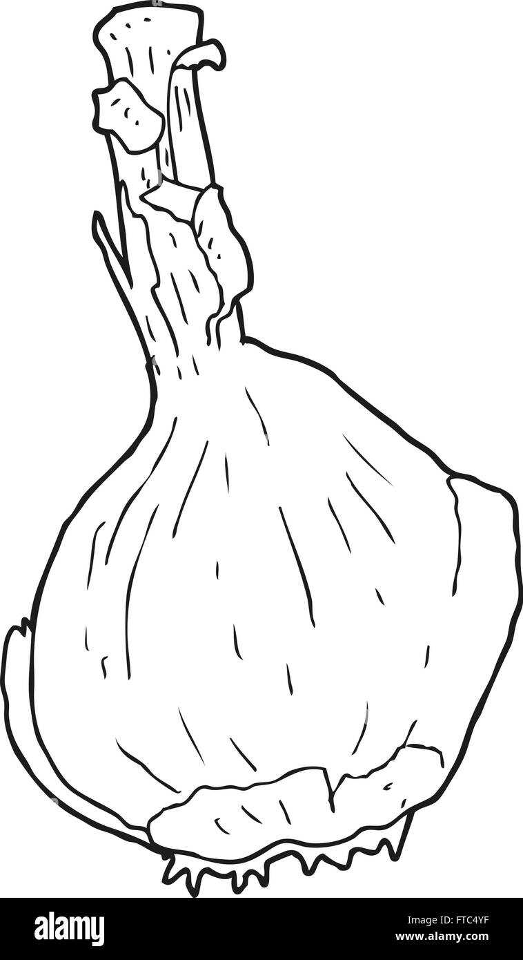 freehand drawn black and white cartoon garlic Stock Vector Image & Art ...