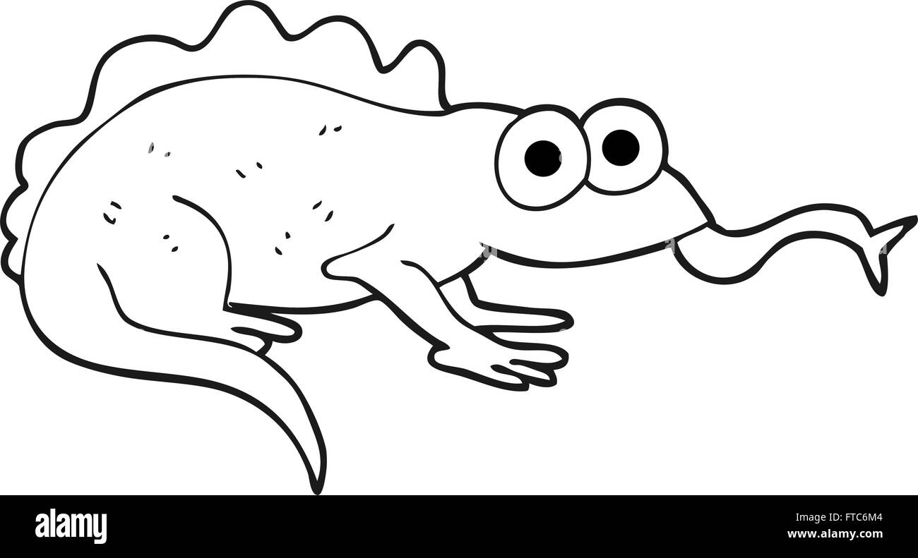 freehand drawn black and white cartoon lizard Stock Vector Image & Art ...
