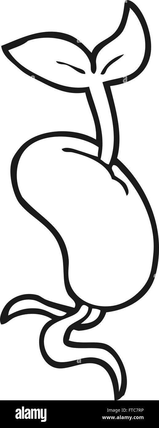 freehand drawn black and white cartoon sprouting seed Stock Vector ...
