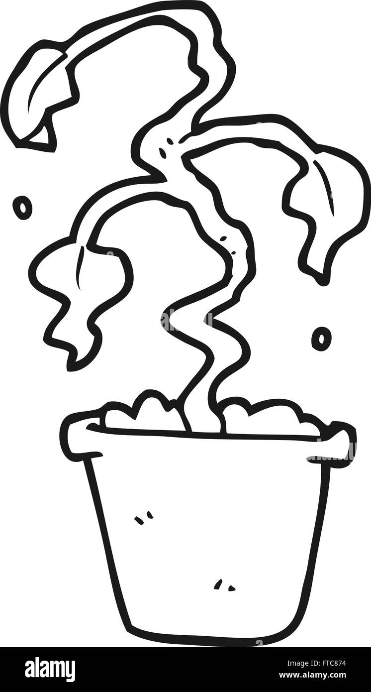 Freehand drawn cartoon dead houseplant Black and White Stock Photos ...