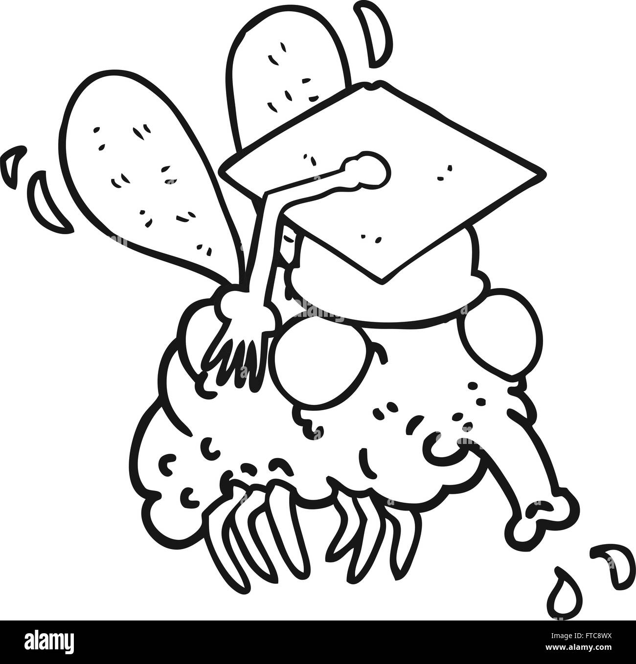 freehand drawn black and white cartoon fly graduate Stock Vector Image ...