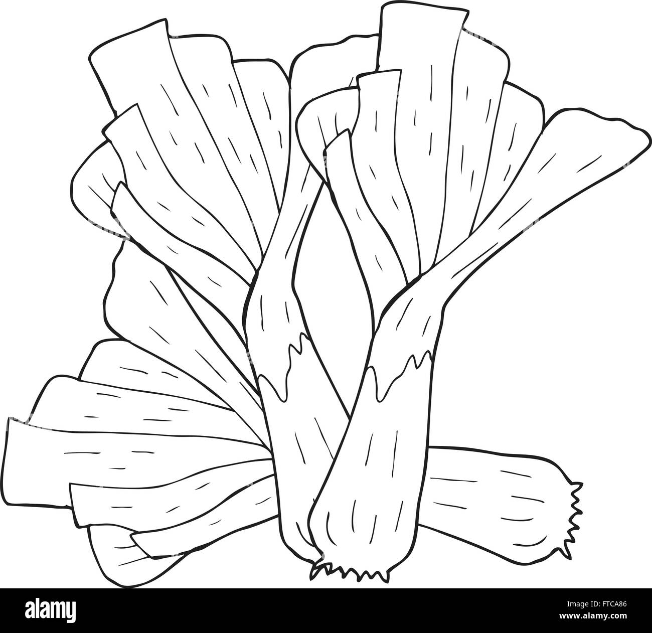 freehand drawn black and white cartoon leeks Stock Vector Image & Art ...