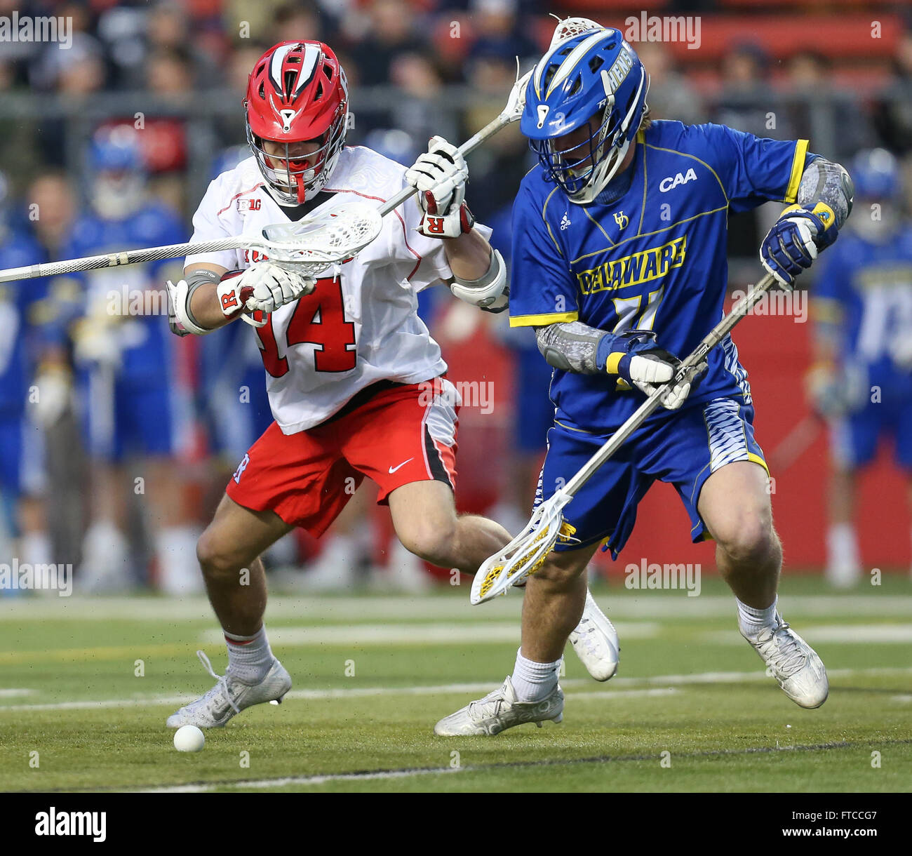 Scarpello hi-res stock photography and images - Alamy