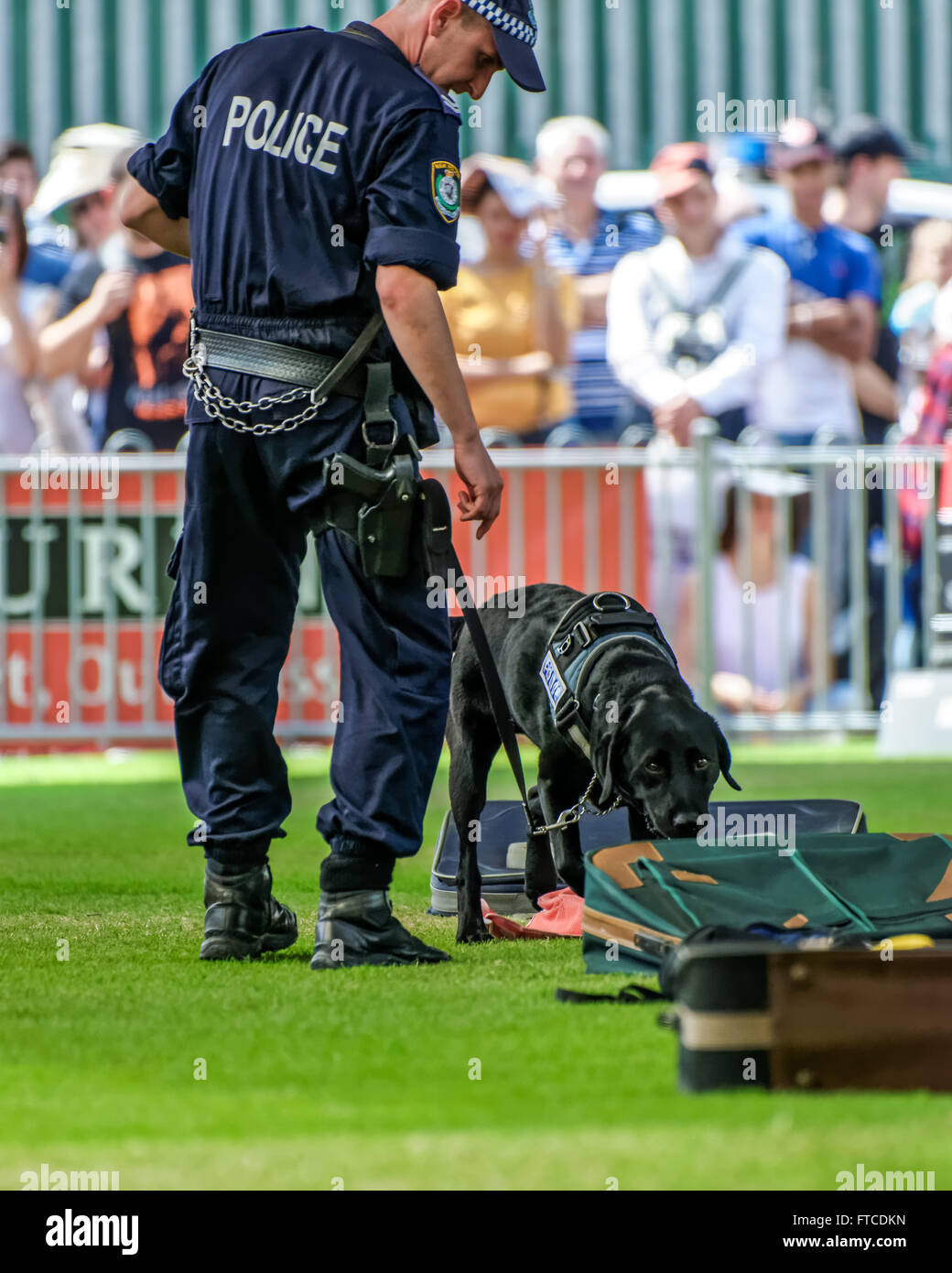 Nsw police dog hi-res stock photography and images - Alamy