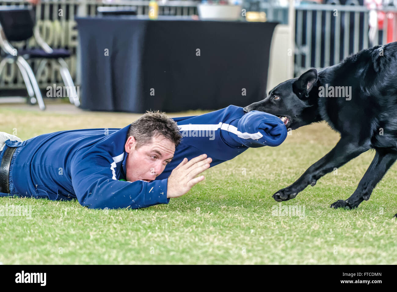 Sydney, Australia. 26th Mar, 2016. The New South Wales Police Dog Unit ...