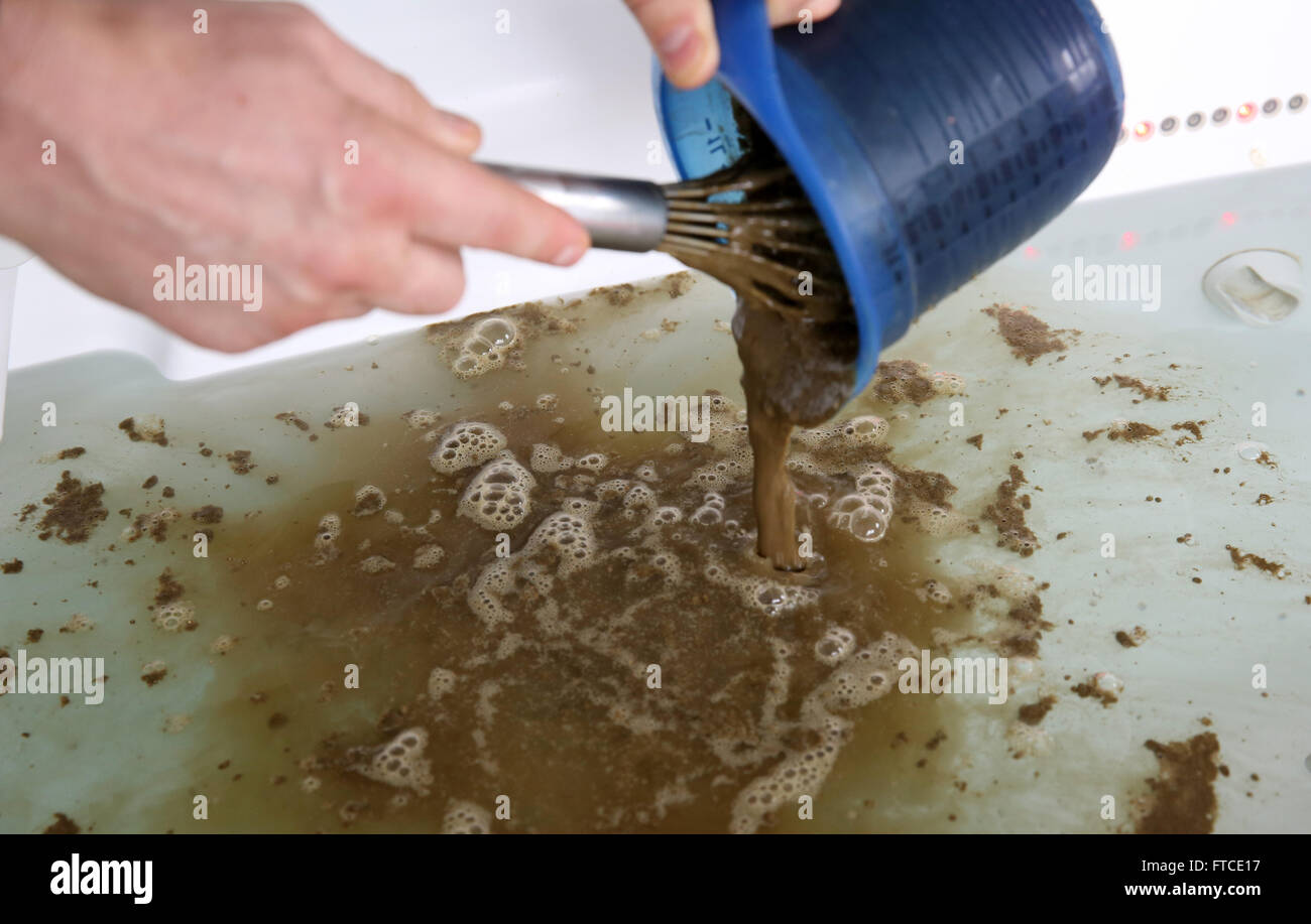Warnemuende, Germany. 23rd Mar, 2016. A seawater bath with algae is ...