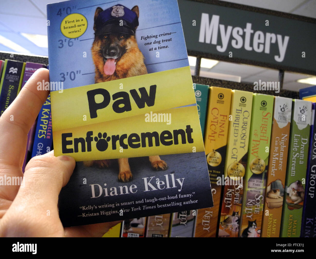 Bookshop Cat High Resolution Stock Photography and Images - Alamy