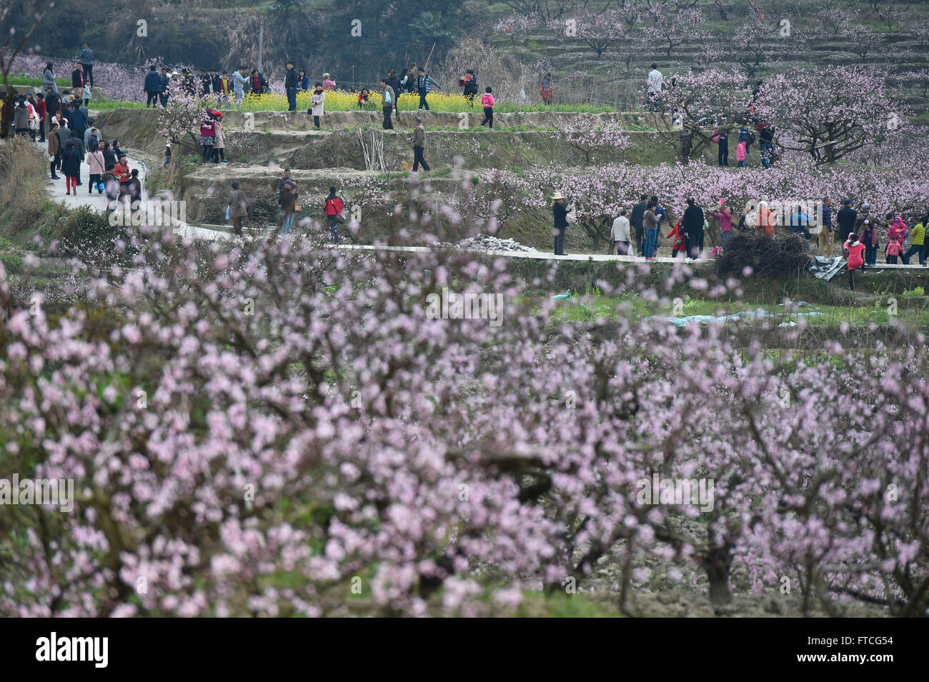Daqiao Village High Resolution Stock Photography and Images - Alamy