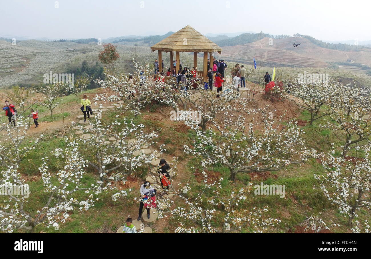 Xikou township hi-res stock photography and images - Alamy