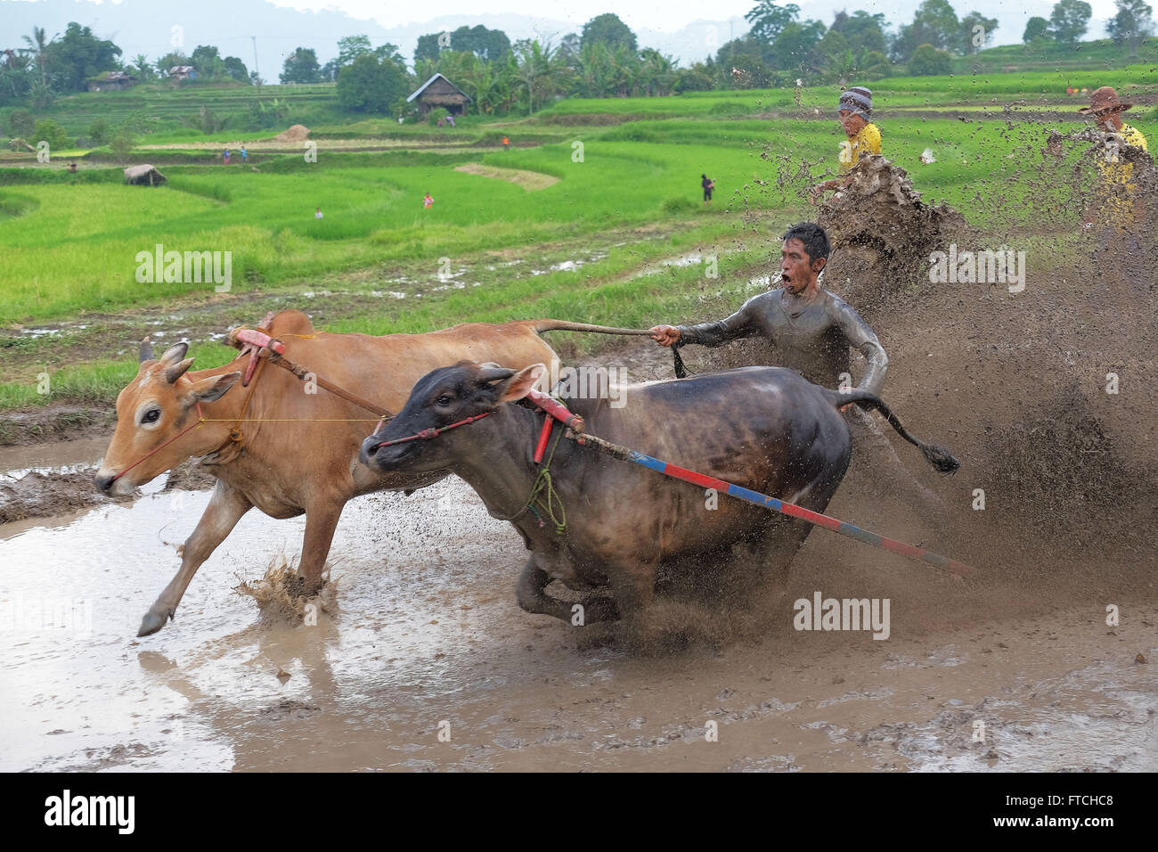 Batusangkar, West Sumatra, Indonesia. 19th Mar, 2016. BATUSANGKAR ...