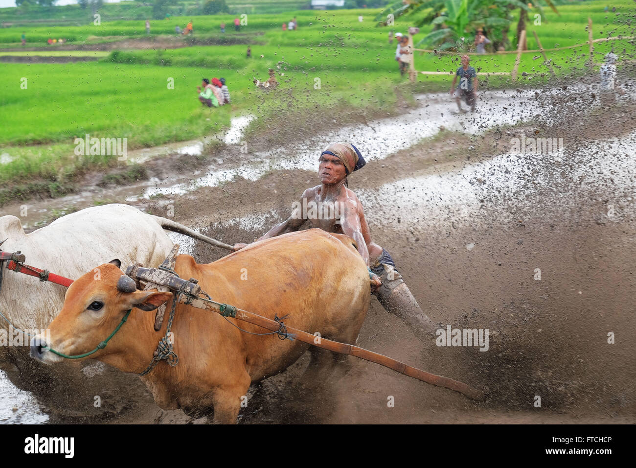 Batusangkar, West Sumatra, Indonesia. 19th Mar, 2016. BATUSANGKAR ...