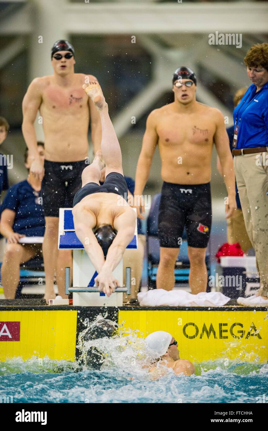 The Louisville relay team during the NCAA Men's Swimming and Diving ...