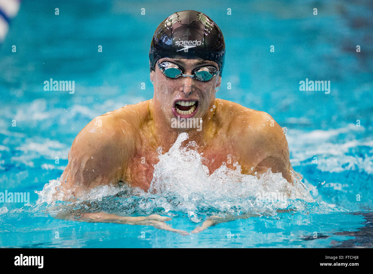 Texas swimmer Will Licon during the NCAA Men's Swimming and Diving ...