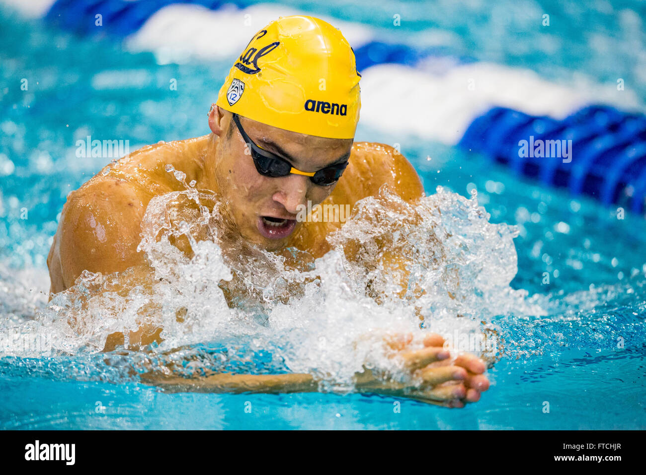 Cal swimmer Connor Hoppe during the NCAA Men's Swimming and Diving ...