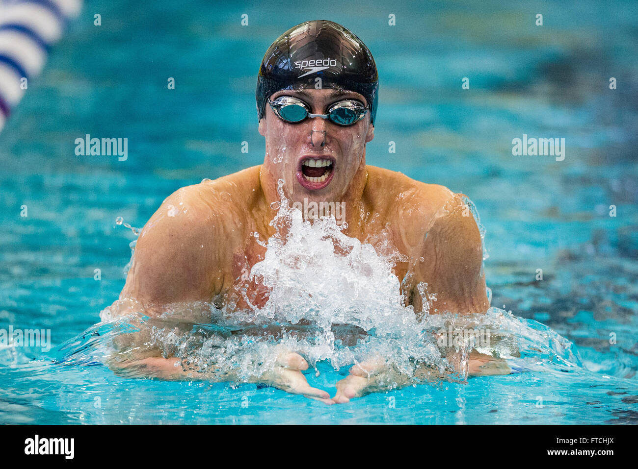 Texas swimmer Will Licon during the NCAA Men's Swimming and Diving ...