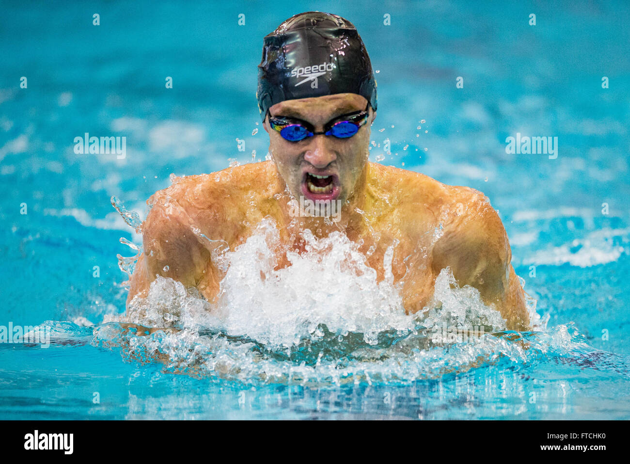 USC swimmer Steven Stumph during the NCAA Men's Swimming and Diving ...