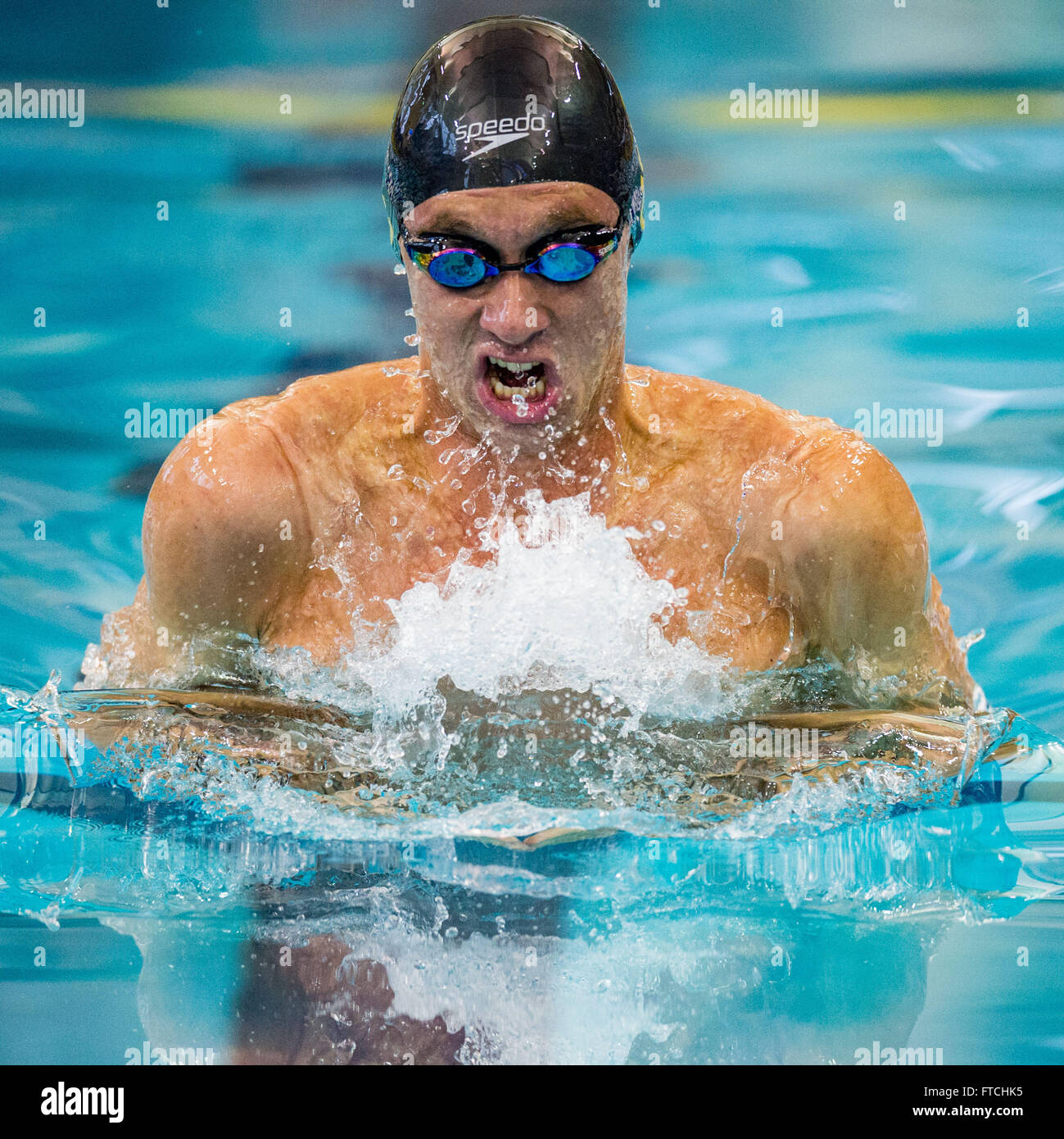 USC swimmer Steven Stumph during the NCAA Men's Swimming and Diving ...