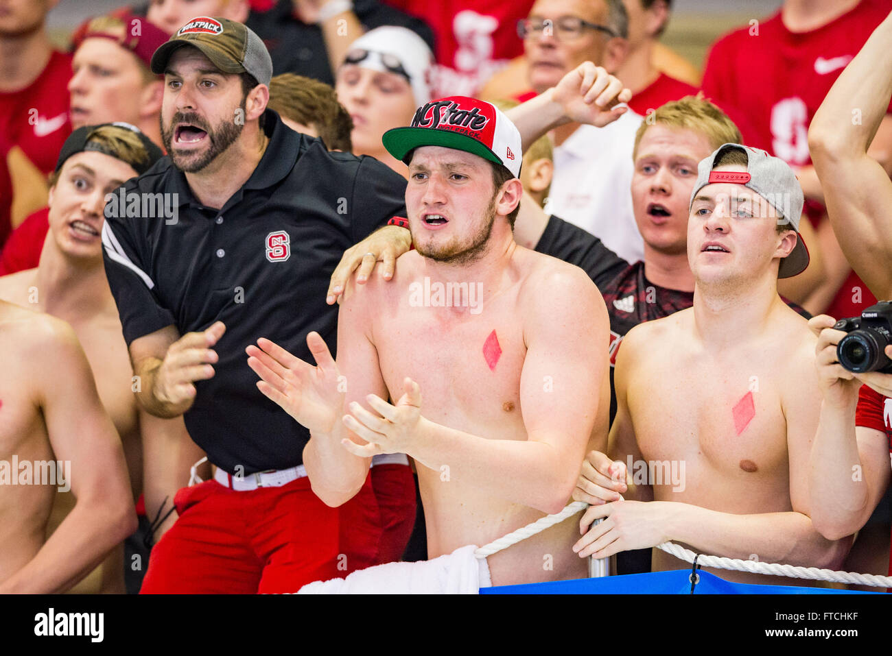 The NC State bench during the NCAA Men's Swimming and Diving ...
