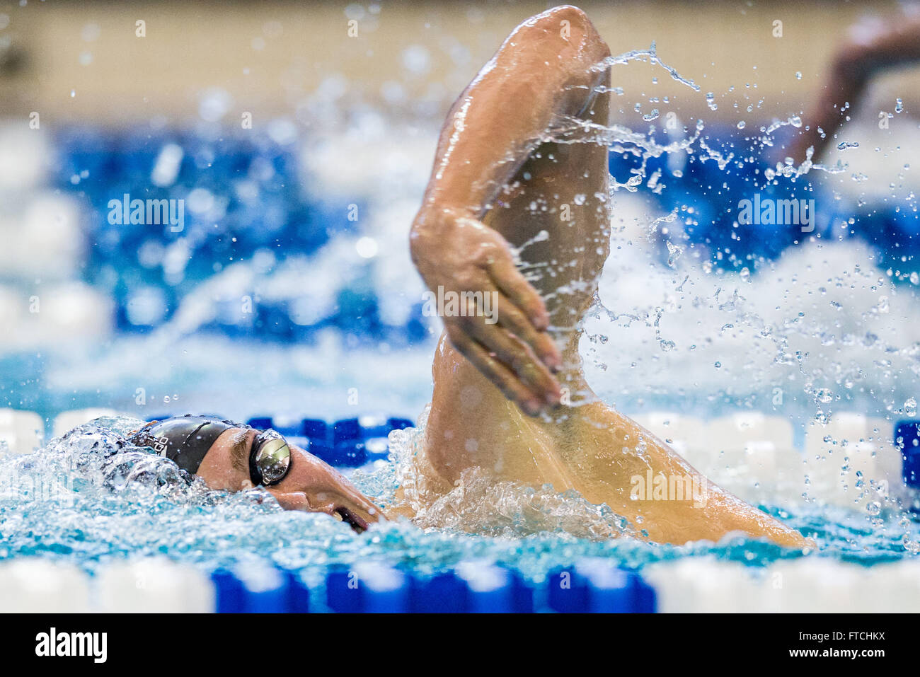Texas swimmer Clark Smith during the NCAA Men's Swimming and Diving ...