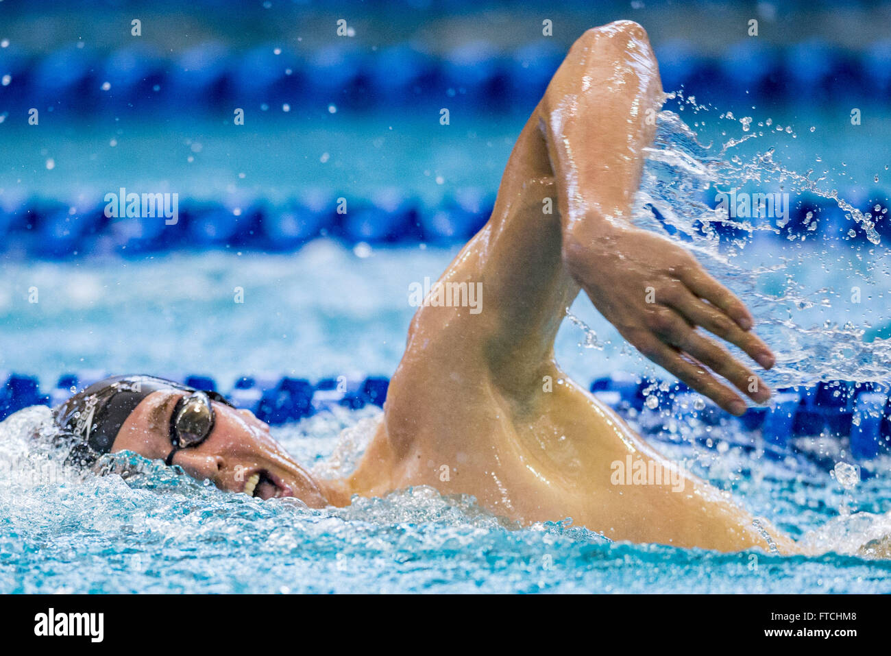 Texas swimmer Clark Smith during the NCAA Men's Swimming and Diving ...