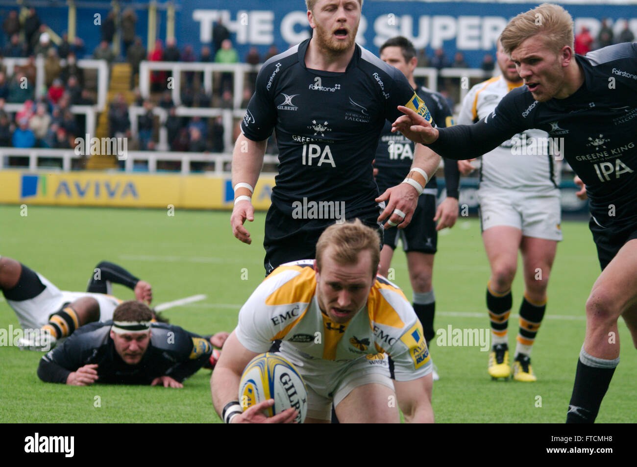 Newcastle upon Tyne, UK, 27 March 2016, Dan Robson of Wasps scoring ...
