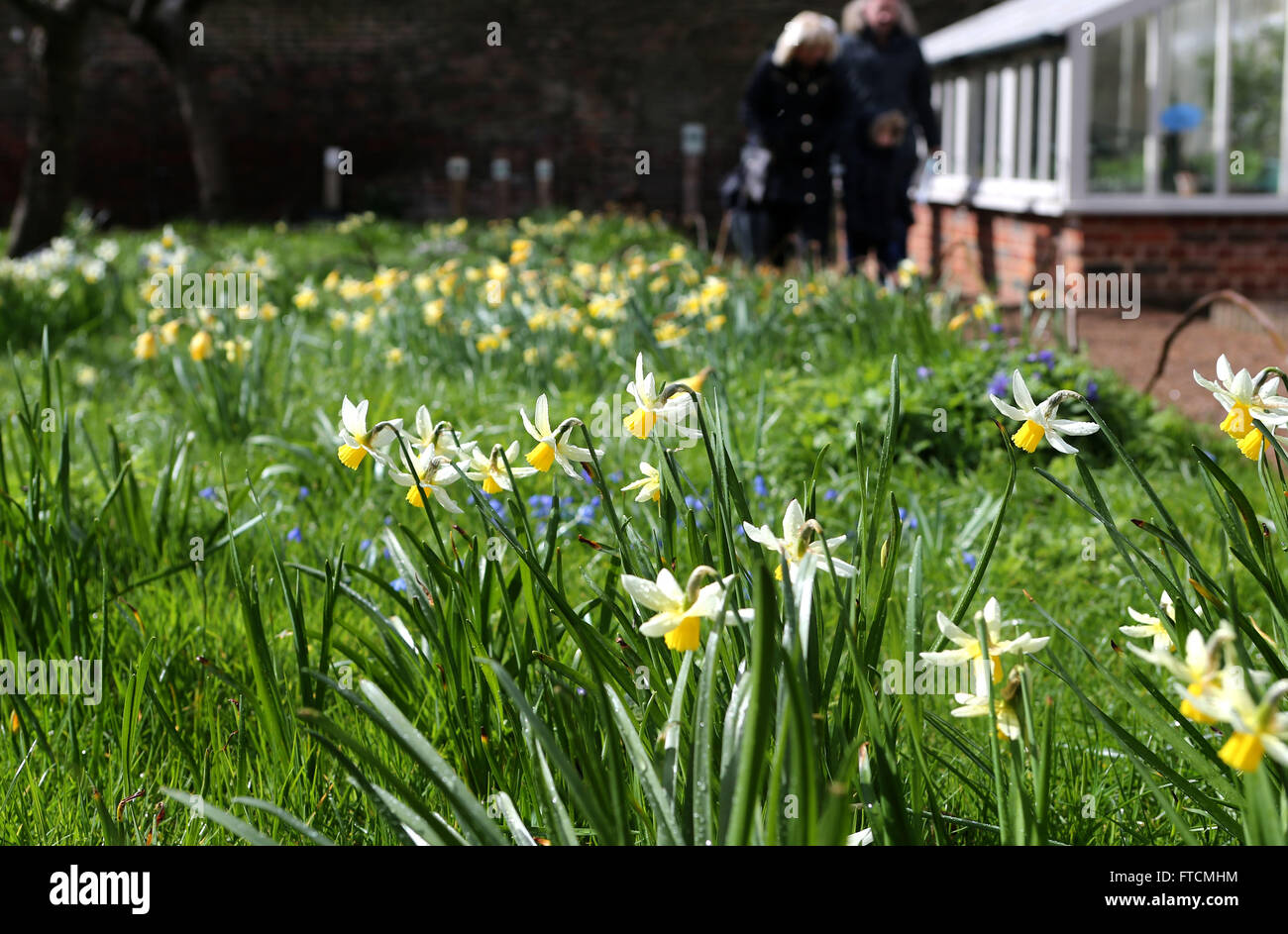 Children easter egg hunt uk hi-res stock photography and images - Alamy