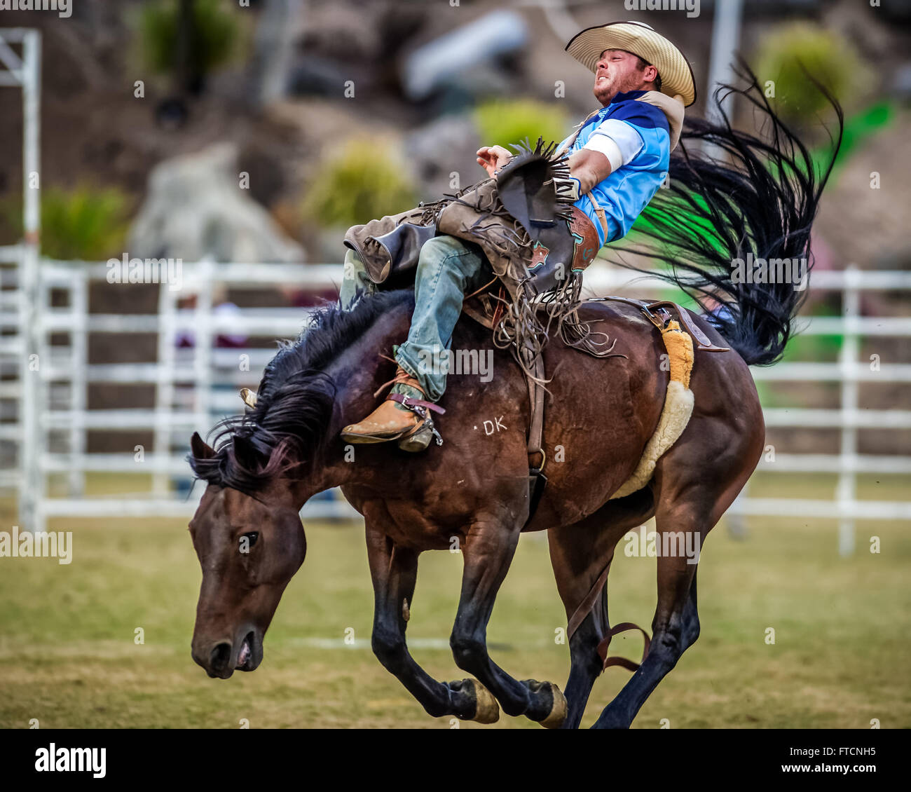 Sydney, Australia. 27th Mar, 2016. Andrew Clifford (NSW) rides bareback ...