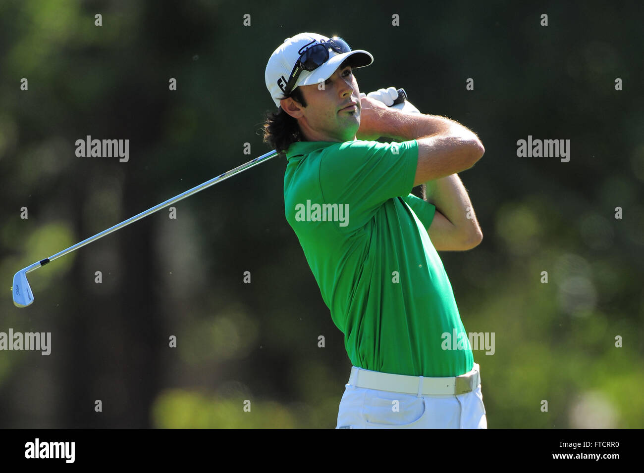 Cameron tringale golf hi-res stock photography and images - Alamy