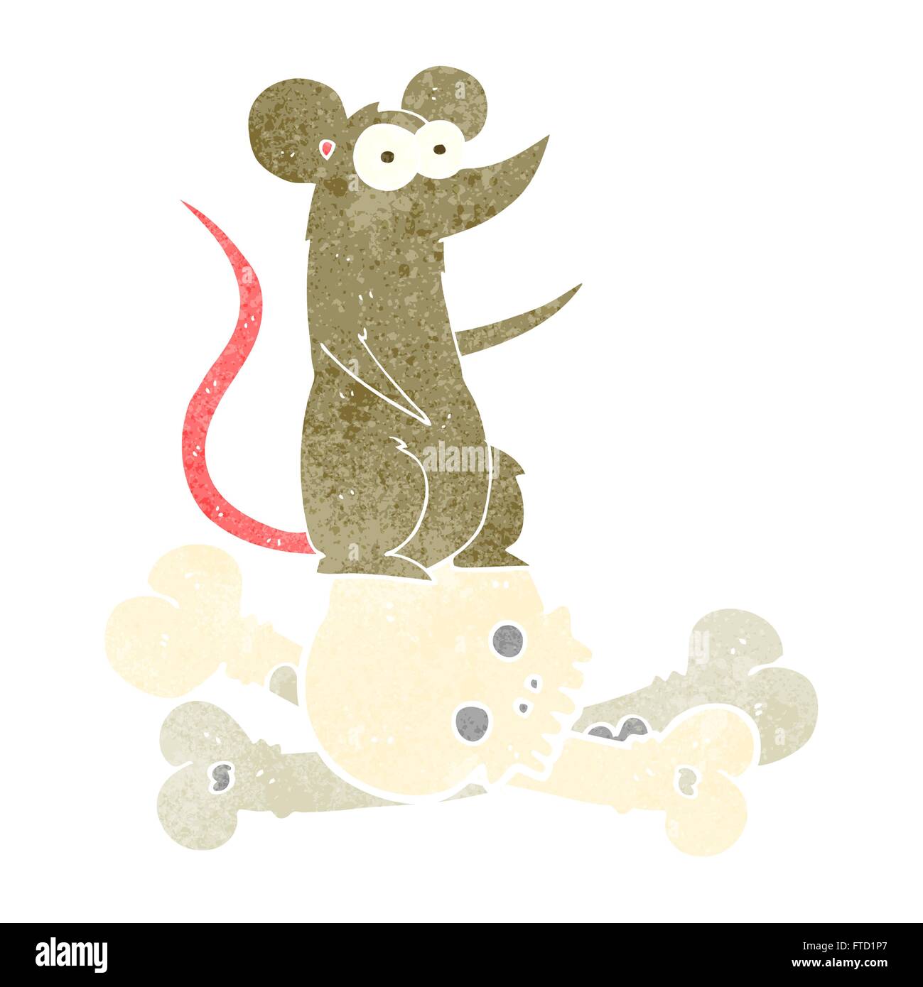 Rat bones Cut Out Stock Images & Pictures - Alamy