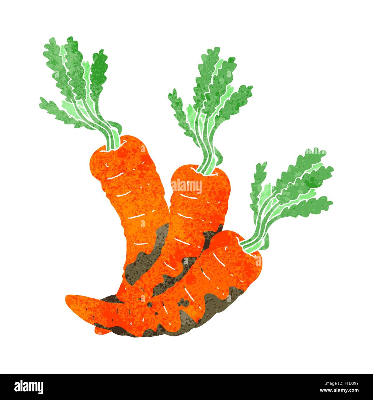 Muddy carrot Stock Vector Images - Alamy