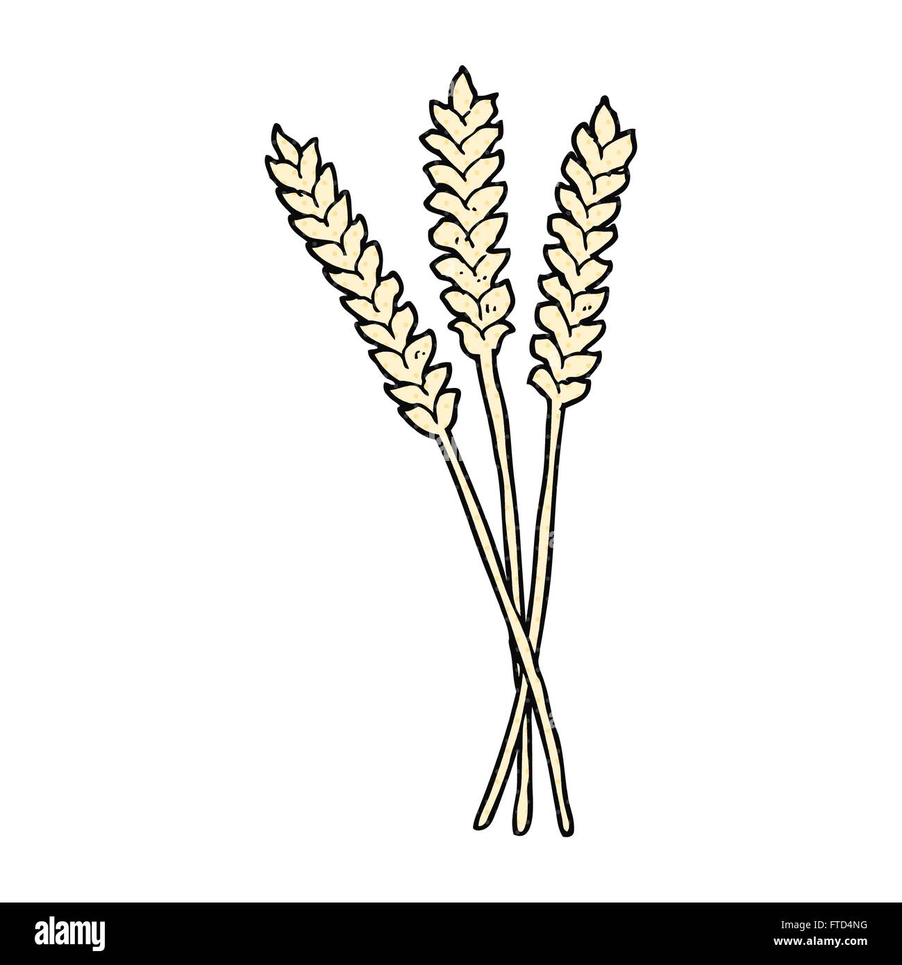 freehand drawn cartoon wheat Stock Vector Image & Art - Alamy