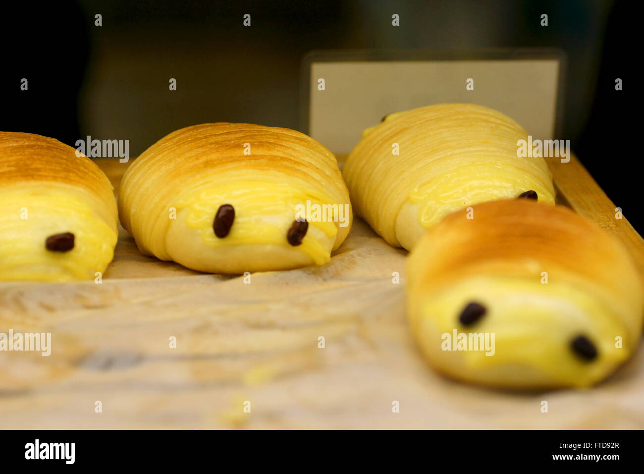 Sad buns touching hi-res stock photography and images - Alamy