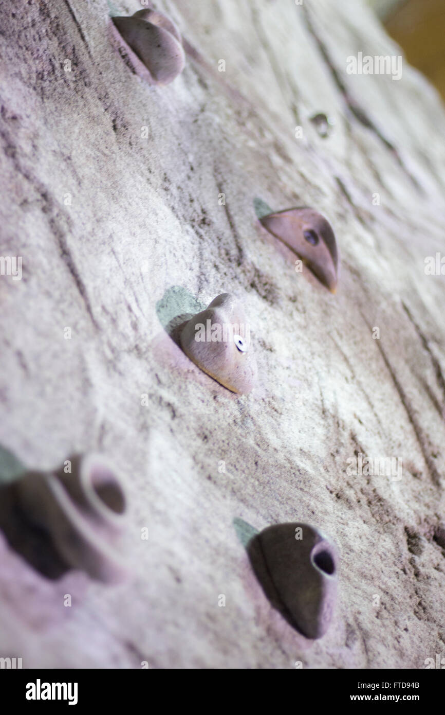 Indoor climbing wall training artificial rock with boulder hand and ...