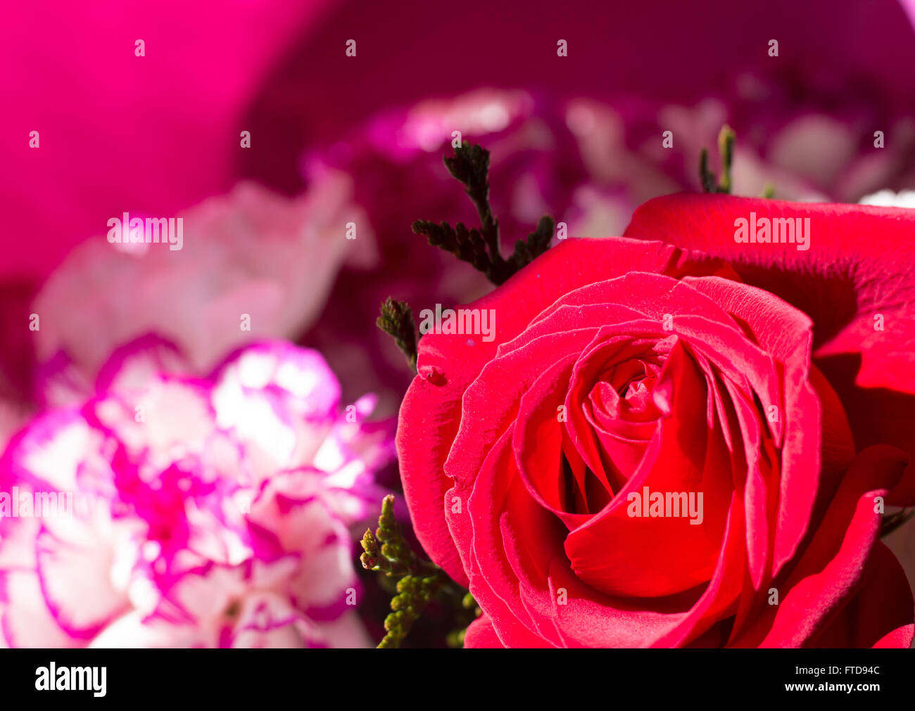 Bouquet of pretty spring flowers and red roses in bunch in florists ...