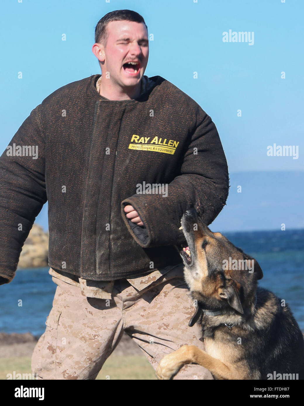 Marine corps dog handlers hi-res stock photography and images - Alamy