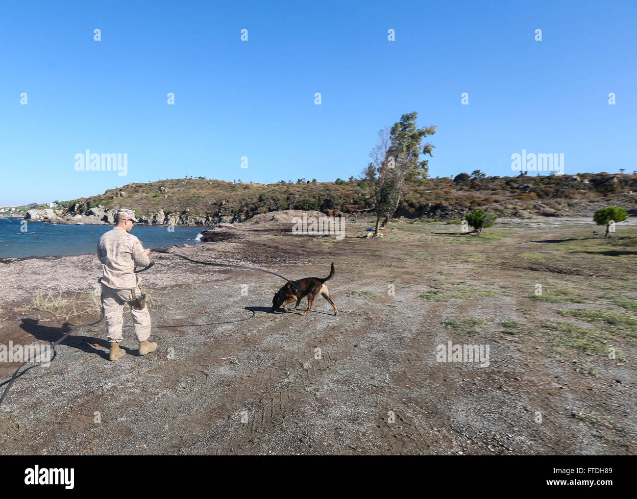 Army dog handler dog cpl hi-res stock photography and images - Alamy