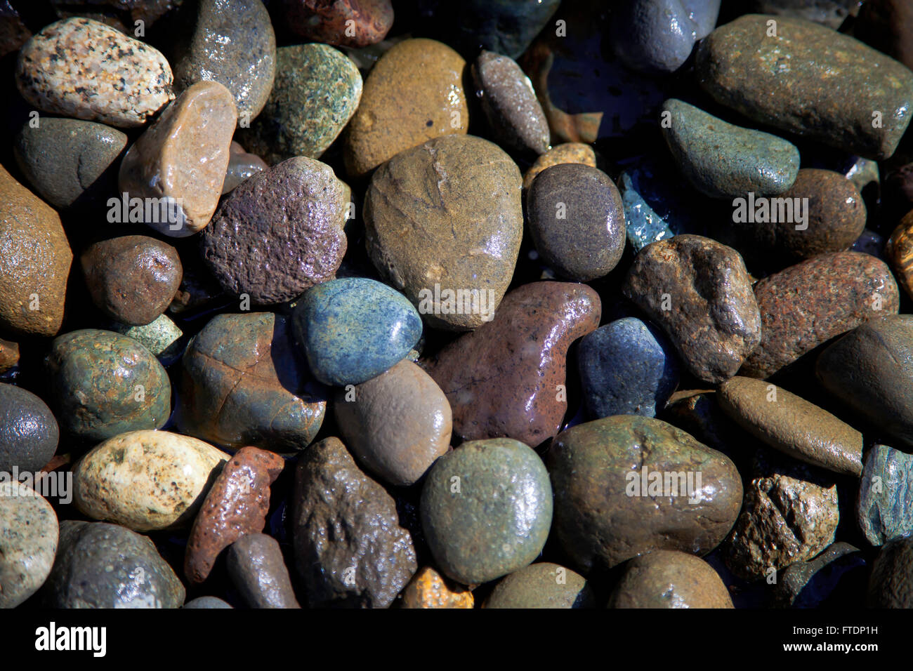 A colourful arrangement of Wet pebbles Stock Photo - Alamy