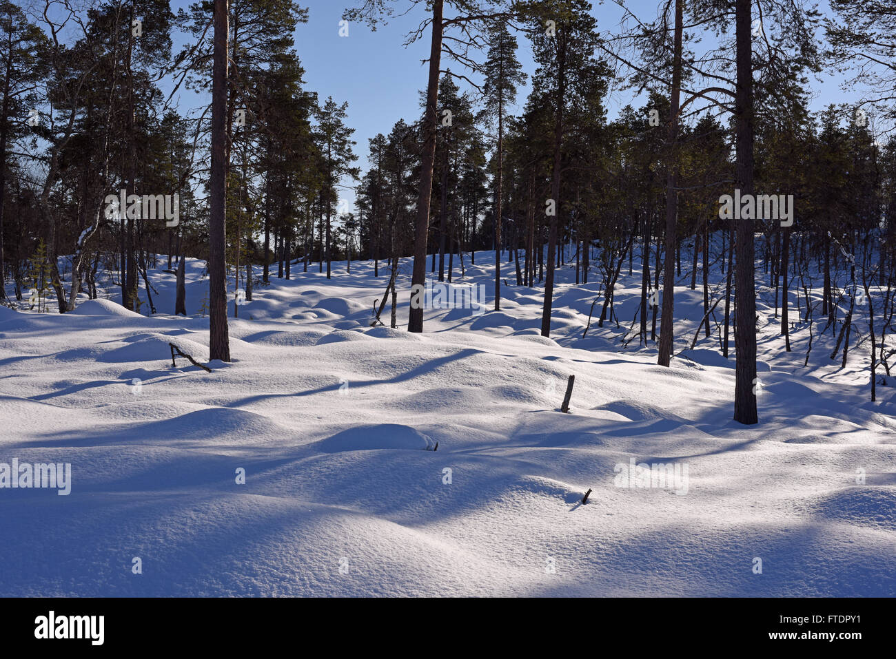 Winter landscape on Lake Inari in Finland Stock Photo - Alamy