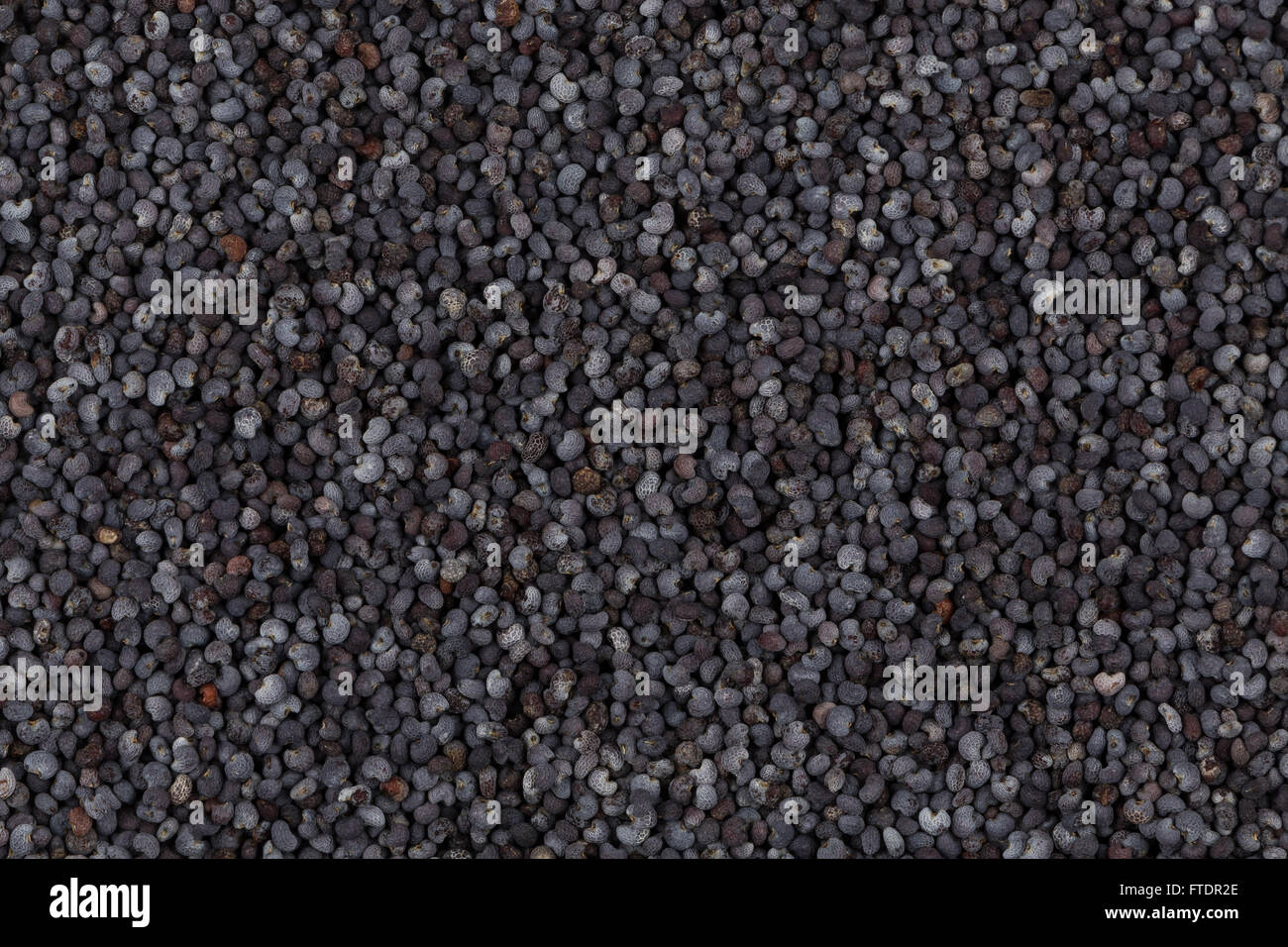 Poppy seeds close up image used for background Stock Photo - Alamy