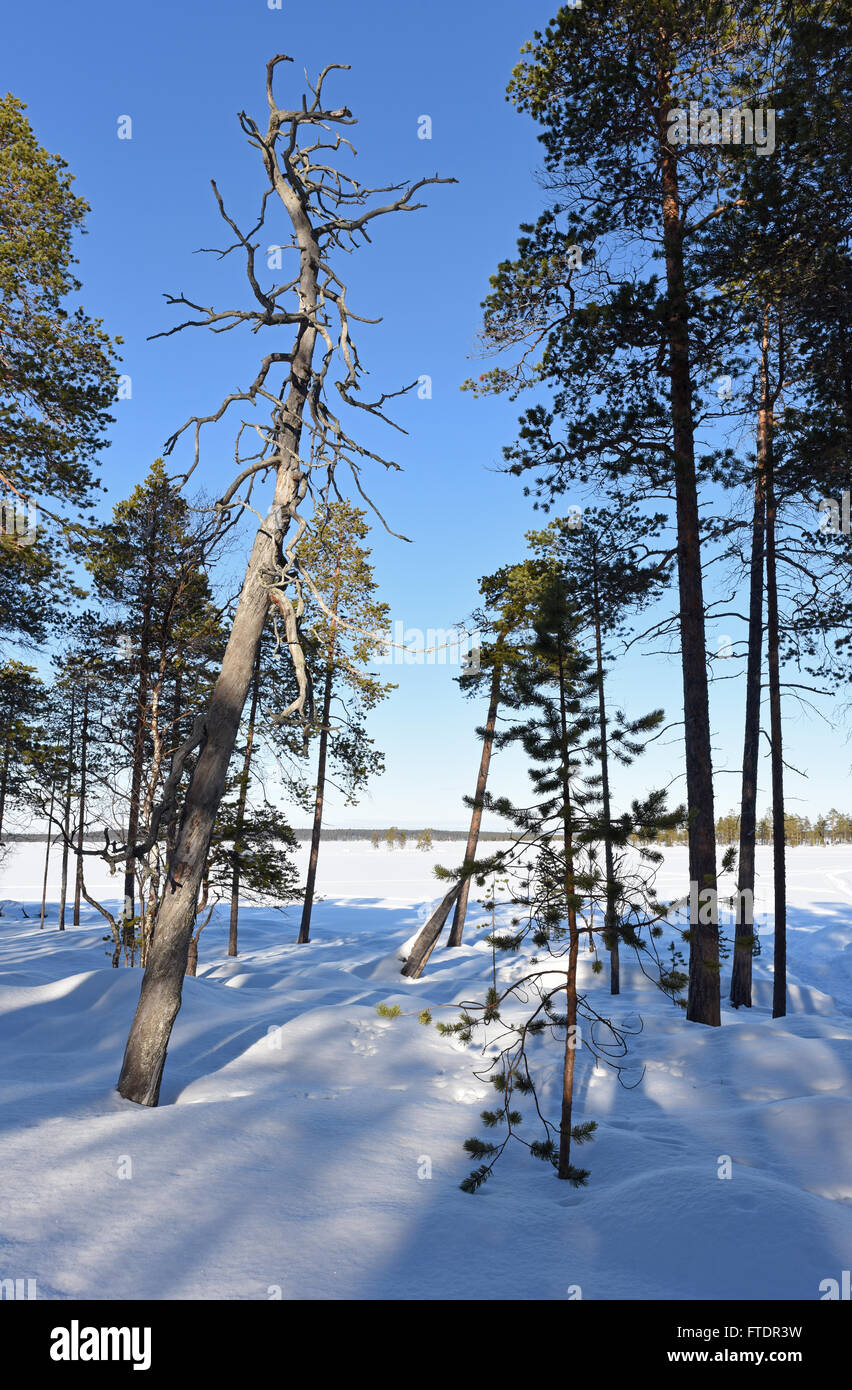 Winter landscape on Lake Inari in Finland Stock Photo - Alamy